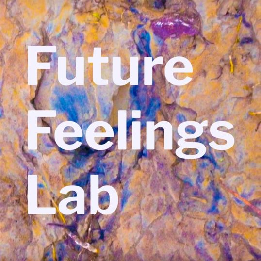 Digital Expression – Digital Media Program